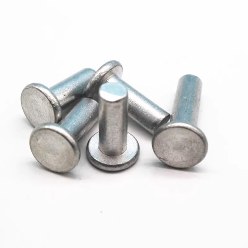 What Are Solid Rivets?| Xinchi